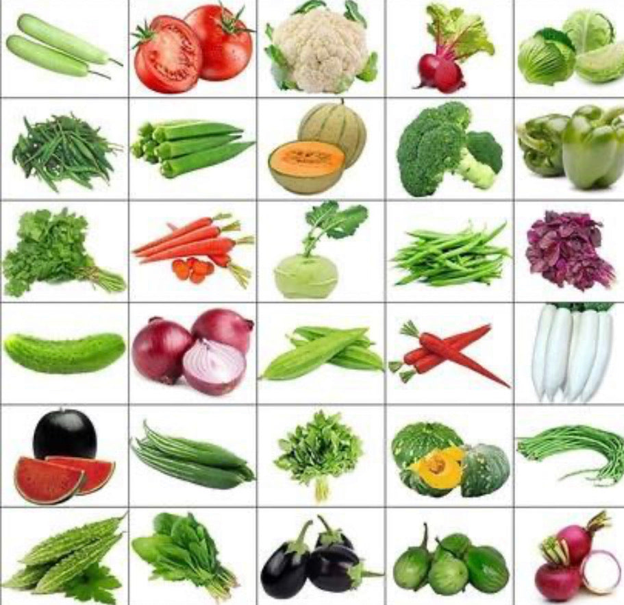 Asian Indian Seeds, Indian Seeds and Plants – HappyFamilyFarmsUSA
